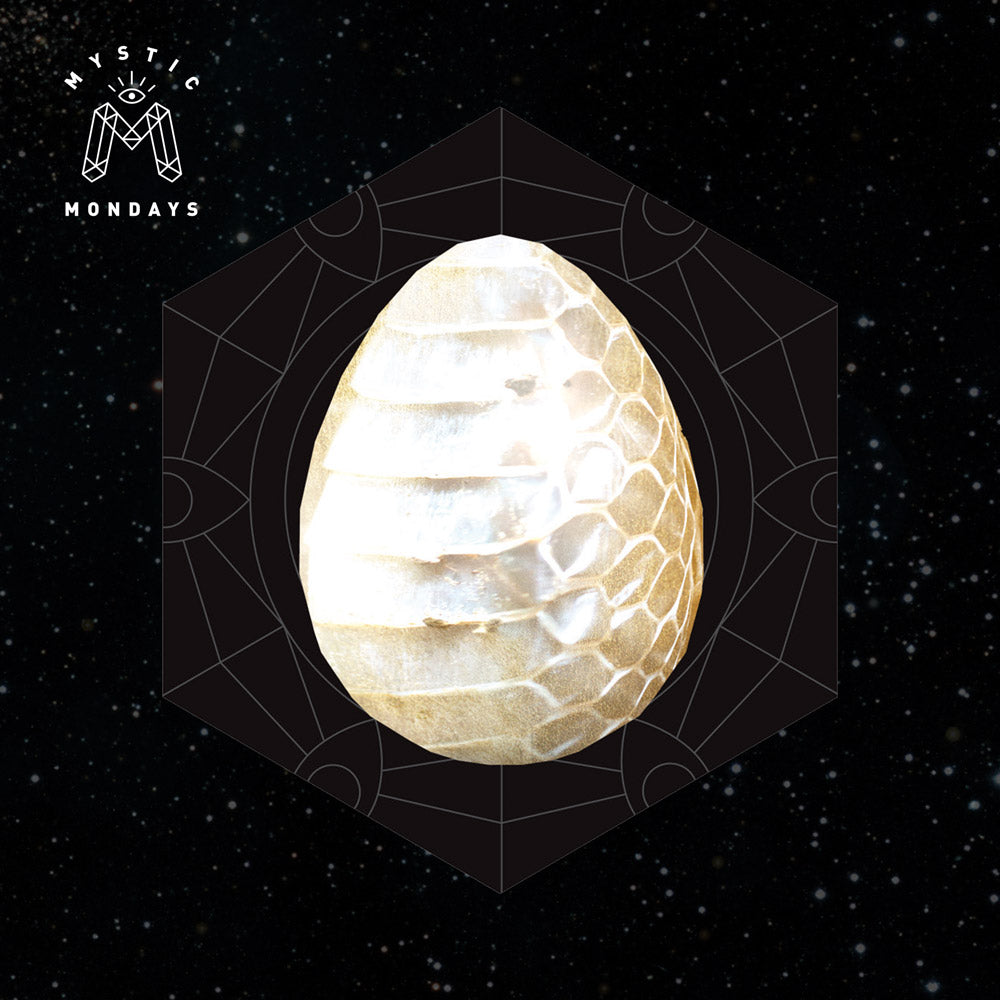 Snakeskin Agate - Crystal Card Meaning