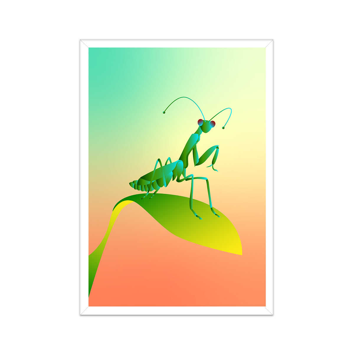 Praying Mantis Print